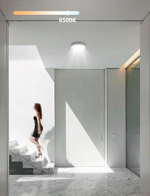 Aigostar 12W LED Ceiling Lights, 1350LM Round LED 6500K Cool White Pack ...