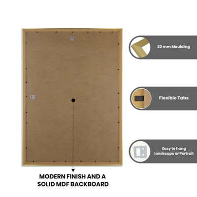 AK Frames Gold A1 Frame with A2 Mount and Perspex Front