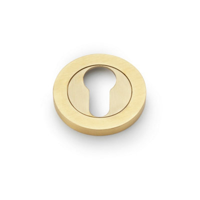 ALEXANDER & WILKS CONCEALED FIX ESCUTCHEON EURO PROFILE - SATIN BRASS PVD
