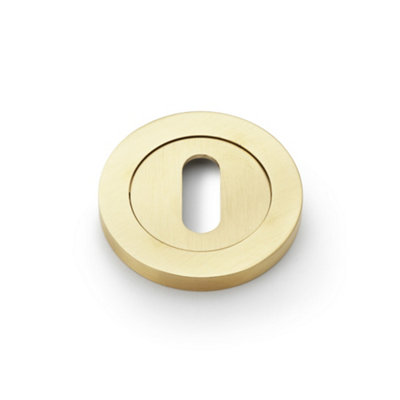 Alexander & Wilks Concealed Fix Escutcheon Standard Profile - Satin ...