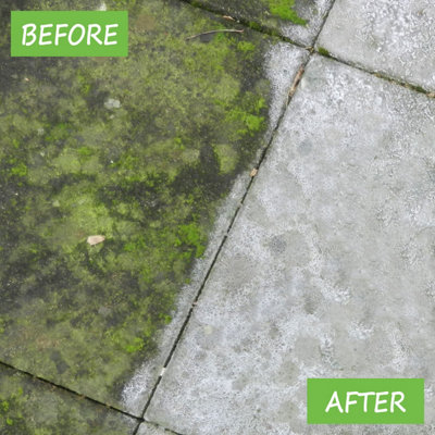 ALGAE, LICHEN & MOULD Crikey Mikey Walls Treatment 10L Kit