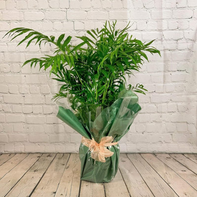 ALL OCCASIONS, INDOOR PALM TREE, SOFT PALM PLANT 100CM BEDROOM, KITCHEN ...