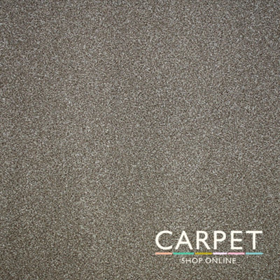 Alpha Mocha Beige Twist Carpet 5m x 4m