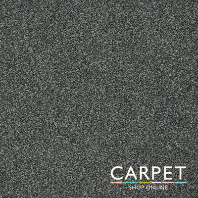 Alpha Raven Grey Twist Carpet 3m x 4m
