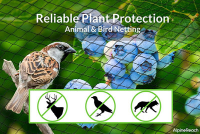 AlpineReach Garden Netting and Bird Netting Kit 2m x 20m Extra Strong ...