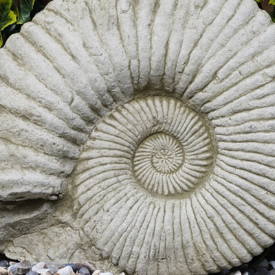 Ammonite Fossil Large Stone Statue Outdoor Garden Ornament Decoration ...