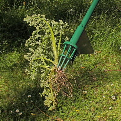 Weed grabber store