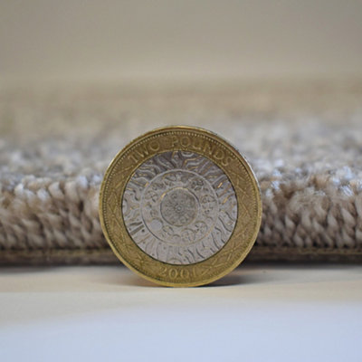 Amour Suede Grey Saxony Carpet 3.5m x 4m