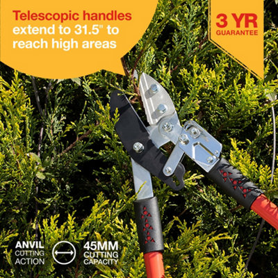Amtech U2880 Telescopic Ratchet Anvil Heavy Duty Lopper, Tree and ...