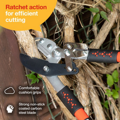 Amtech U2880 Telescopic Ratchet Anvil Heavy Duty Lopper, Tree and ...