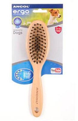 Ancol Nylon Small Soft Bristle Dog Brush