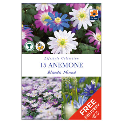 Anemone Blanda Mixed - Spring Flower Bulbs - 15 Bulbs | DIY at B&Q