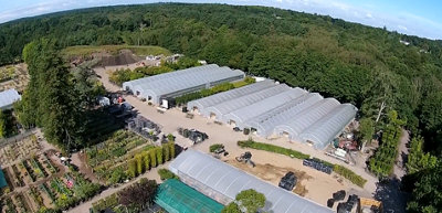 Annabelle Sevenbark Outdoor Shrub Plant Hydrangea Arborescens 2L Pot