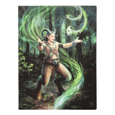 Anne Stokes Earth Elemental Wizard Canvas Plaque Multicoloured (25cm x ...