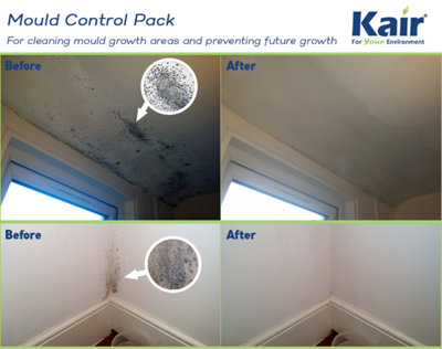 Anti Mould Additive For Emulsion & Gloss Paint - 50 ml