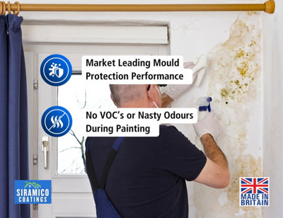 Anti-Mould Paint - 5 Litre - Superior 10 Year Anti-Mould Resistant ...