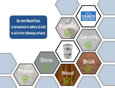 Anti-Mould Paint - 5 Litre - Superior 10 Year Anti-Mould Resistant ...