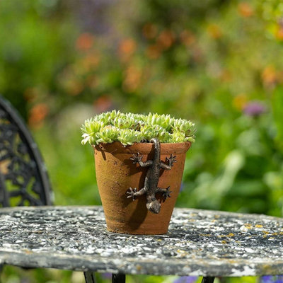 Antique Bronze Coloured Gecko Pot Buddy Plant Pot Hanger