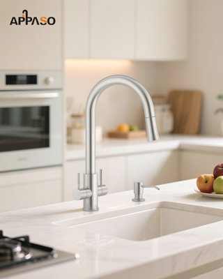 Appaso Kitchen Tap Dual Lever,2 Handles Monobloc Sink Mixer Taps