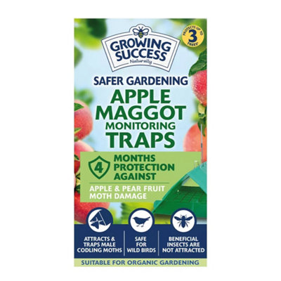 Apple Maggot Moth Monitoring Trap