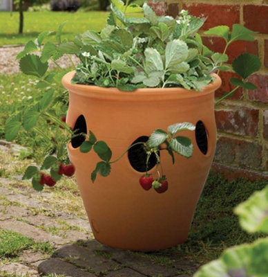 APTA Terracotta Herb Planter 36cm Durable Outdoor Garden Pot