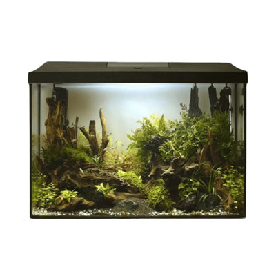 AquaEl Leddy Aquarium 60 XL Tall 72 Litre Fish Tank | DIY at B&Q