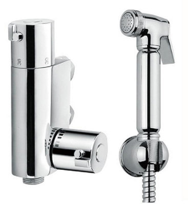 Aquarius FT Shattaf Douche Kit with Thermostatic Mini Valve Chrome ...