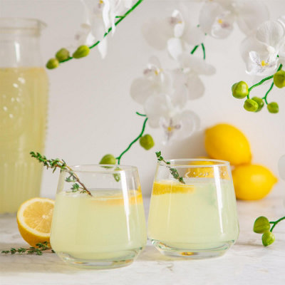 Argon Tableware 12 Piece Tallo Glassware Set - Clear