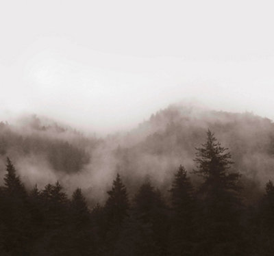 Art For the Home Misty Landscape Neutral Print To Order Fixed Size Mural