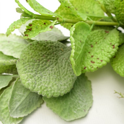 Artificial 125cm Hanging Trailing Mint Leaf Garland Plant