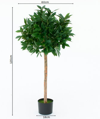 Artificial Bay Laurel Trees With Real Wood Trunk, Natural Leaf and ...