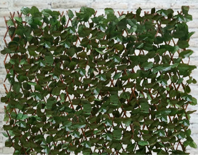 Artificial Faux Ivy Hedge Maple Leaf Screening Fence Ivy on Willow ...