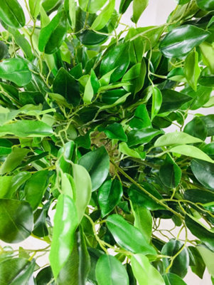 Artificial Ficus Tree With Twi