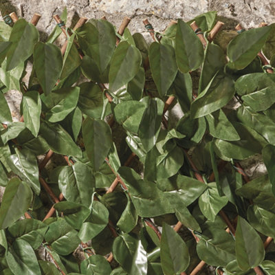 Artificial Ivy Hedge Trellis 1 x 2m Expandable Privacy Screening Panel ...