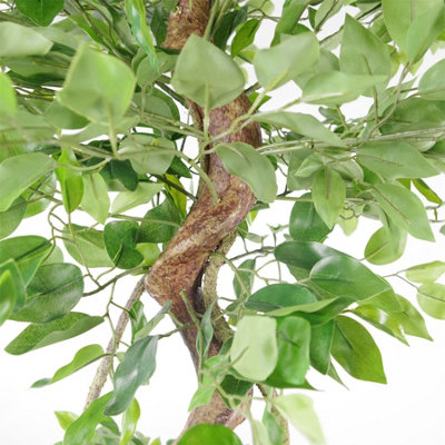 Artificial Japanese Fruticosa Tree Twisted Large Ficus 150cm Leaf ...