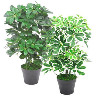 Artificial Schefflera Arboricola Plant Plastic Pot 55cm