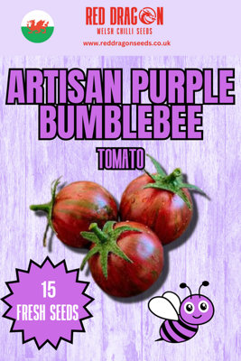 Artisan Purple BumbleBee Tomato Seeds - 15 Fresh Seeds