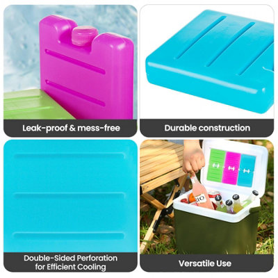 ASAB Pack Of 6 Freezer Blocks - Assorted Colours