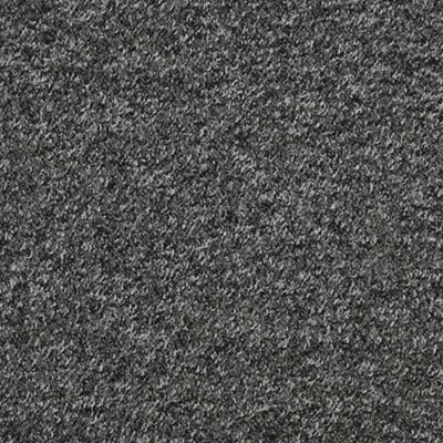 Atlas Budget Loop Pile Carpet by Remland (Black, 2m x 4m)