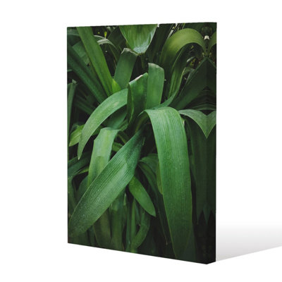 Atmospheric background, Selective focus (Canvas Print) / 31 x 41 x 4cm ...