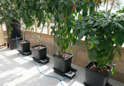 AutoPot Watering Systems - 4Pot System