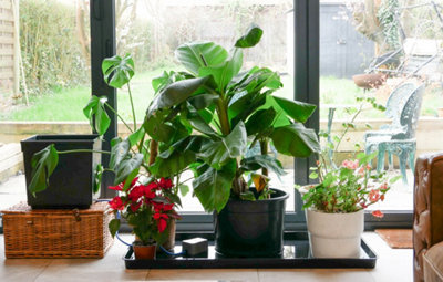 AutoPot Watering Systems - Easy2Go Kit