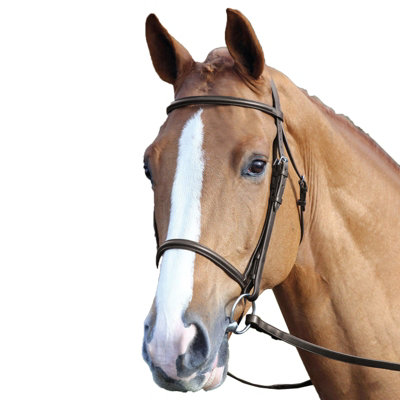 Aviemore Raised Cavesson Leather Horse Bridle Havana (Full) | DIY at B&Q