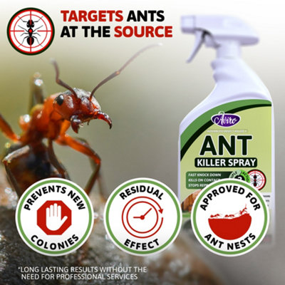 Aviro Ant Killer - Fast Acting Ant Killer Spray For Indoor And Outdoor ...