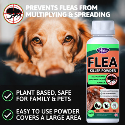 AVIRO FLEA POWDER - PET-FRIENDLY CARPET FLEA TREATMENT APPROVED FOR USE ...