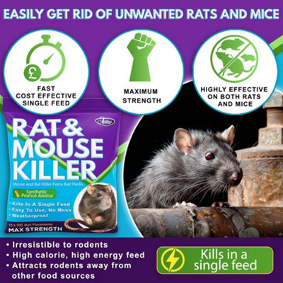 Aviro Rat and Mouse Poison - Maximum Strength Rat Poisoning Blocks. No Mess Rodent Control. 80 x ...