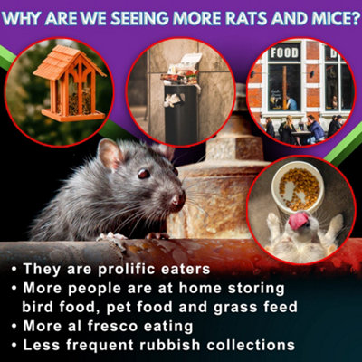 Aviro Rat and Mouse Poison - Maximum Strength Rat Poisoning Blocks. No ...