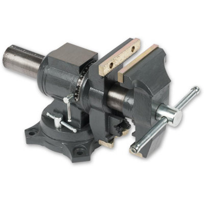 Axminster Professional All Purpose Engineer's Vice 125mm | DIY at B&Q