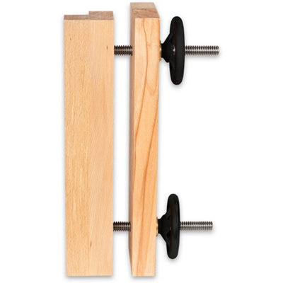 Axminster Professional Moxon Vice