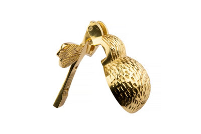B&M - SOLID BRASS BUMBLE BEE DOOR KNOCKER POLISHED BRASS SUPPLIED WITH ...